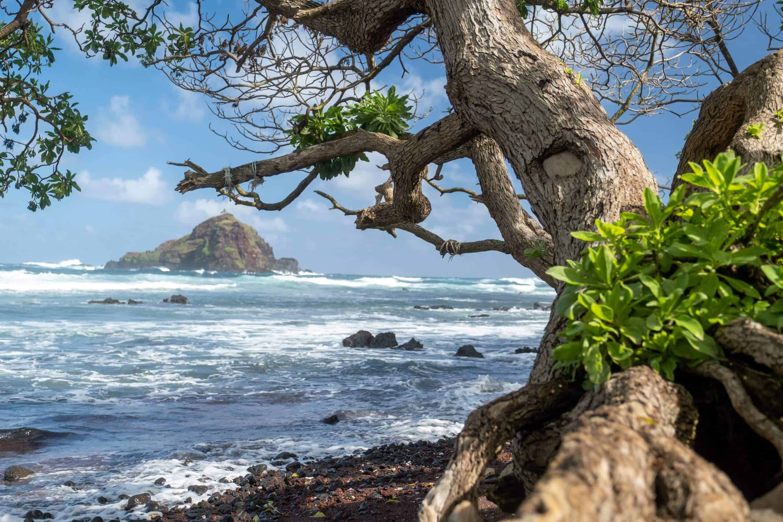 Michael Fayard Attorney At Law Sarasota Criminal Defense Lawyer